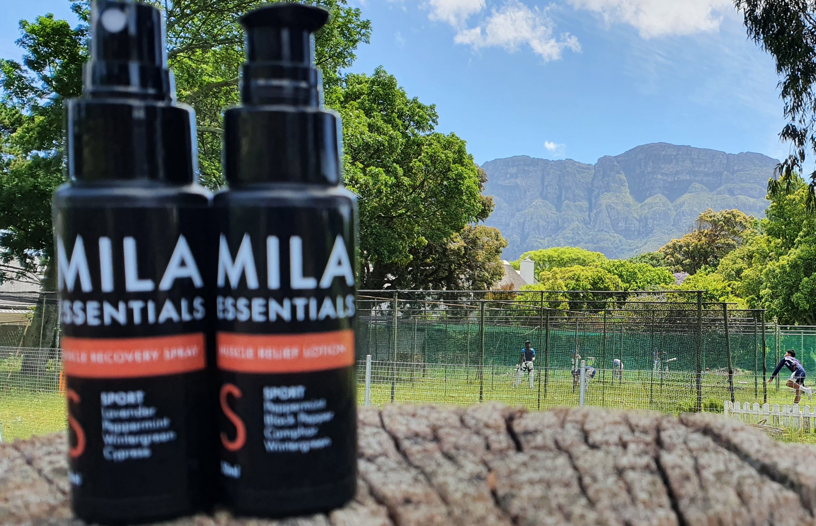 Collections – Mila Essentials